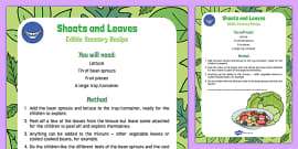 EYFS On the Farm Edible Sensory Recipe (teacher made)