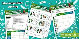 Bird Beak Adaptations Science Activity for 6th-8th Grade