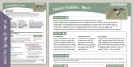 Birdwatching Display Banner | Twinkl (teacher made) - Twinkl