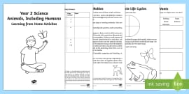 Year 2 Science Living Things and Their Habitats Home Learning Activity