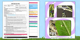EYFS Life Cycle of a Butterfly Lesson Plan Pack