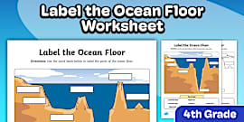 Printable Ocean Layers Worksheet | Twinkl USA