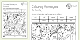 Grade 3 Phonics: Homonyms: Differentiated Worksheets