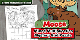 * NEW * Snake Mixed Multiplication Mystery Grid Puzzle