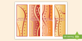 FREE! - NAIDOC Week Bookmark | Australian Resources - Twinkl