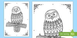 FREE! - Dove Mindfulness Colouring (teacher made)