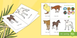 Rainforest Animals Early Emergent Reader - Twinkl