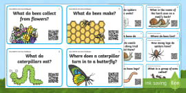 Minibeast Homes Code Hunter (teacher made)