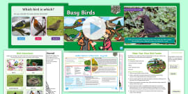 Nest-Themed Outdoor Activity | Forest School | Twinkl