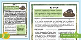 Hojas informativas: Los animales del desierto - Twinkl