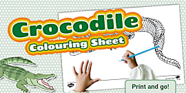 Crocodile Writing Template