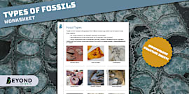 Comparing Fossils Worksheet