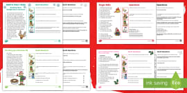 Christmas Activities for Year 3 - Teaching resource - Twinkl