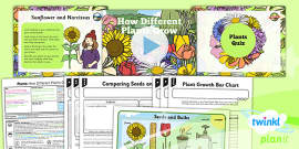 Science: Plants: Seeds and Bulbs Year 2 Lesson Pack 2