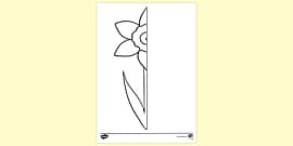 Daffodil Colouring Pages for Classroom or Home Use - Twinkl