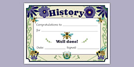 History Award Certificate (teacher made) - Twinkl