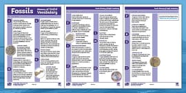 Types of Fossils Display Posters | Twinkl Originals