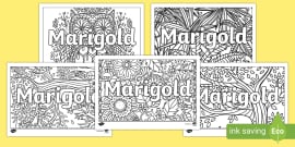 Marigold Name Simple Colouring Activity Sheet (teacher made)
