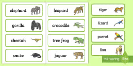 Jungle Word Mat, Jungle (creat de profesori) - Twinkl