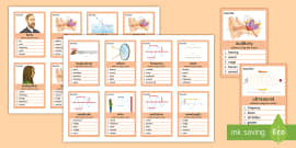 Photosynthesis Can You Guess? Cards (teacher made) - Twinkl