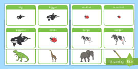 Comparative Adjectives Matching Cards (teacher made)