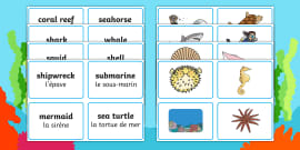 Under the Sea in French - Read and Draw Worksheet - Twinkl