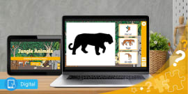 Interactive Shadow Creation (teacher made) - Twinkl