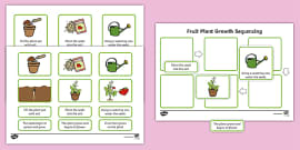 FREE! - Garden Plan Activity (teacher made)