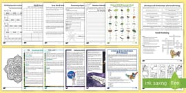 Fifth Grade Reading Comprehension Activity Pack