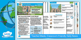 Rat Reading Comprehension Worksheet (teacher made) - Twinkl