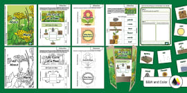 Kindergarten Plants Activity Pack (Teacher-Made) - Twinkl