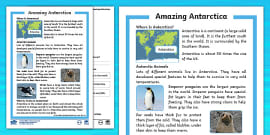 Year 2 Pythons Reading Comprehension Activity - Twinkl