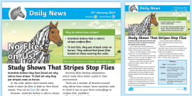 How the Zebra Got Its Stripes Story (teacher made) - Twinkl