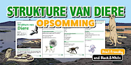 Gr 4 NW & Teg - Kwartaal 1 - Habitatte van Diere - Gevallestudie (KABV)