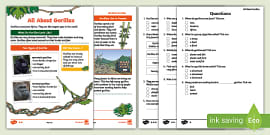 KS1 All About Sloths Differentiated Reading Comprehension Activity