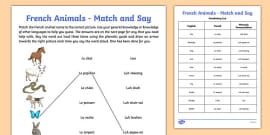 French Animal Vocabulary | Animal Names in French Word Cards