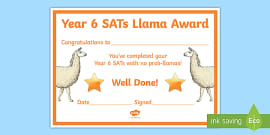 Year 6 Ninja Skills SATs Certificate (teacher made) - Twinkl