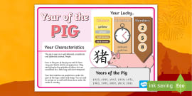 Chinese New Year of the Pig Display Pack (teacher made)