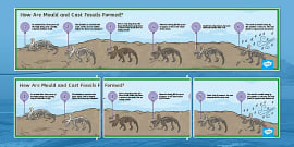 Fossil Fuels: Renewable and Nonrenewable Resources Worksheet