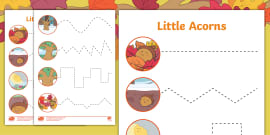 Little Acorns: Life Cycle of an Oak Tree Booklet - Twinkl