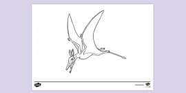 FREE! - Long Tailed Pterosaur Colouring Sheets | Colouring Pages
