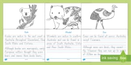 Three Lined Writing Paper | Printable Teaching Resources