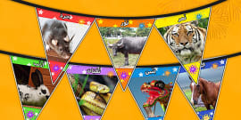 Chinese New Year Bunting (Symbols) (teacher made) - Twinkl