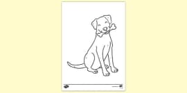 FREE! - Detective Dog Maths Hound Colouring | Colouring Sheets