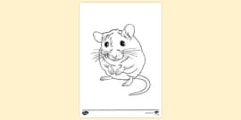 Mouse Colouring Sheet | Colouring Sheets