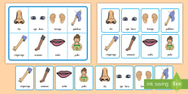 Parts of the Body A4 Te Reo Maori (teacher made)