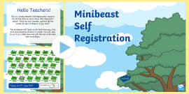 Minibeast Self-Registration With Background - Twinkl