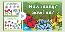 Learn Welsh: I Went/I Had… - Welsh Past Tense - Twinkl