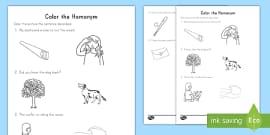 Homonyms Activity Pack (teacher made)