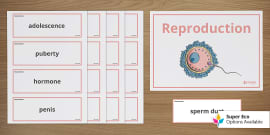 Reproduction Word Mat (teacher made)